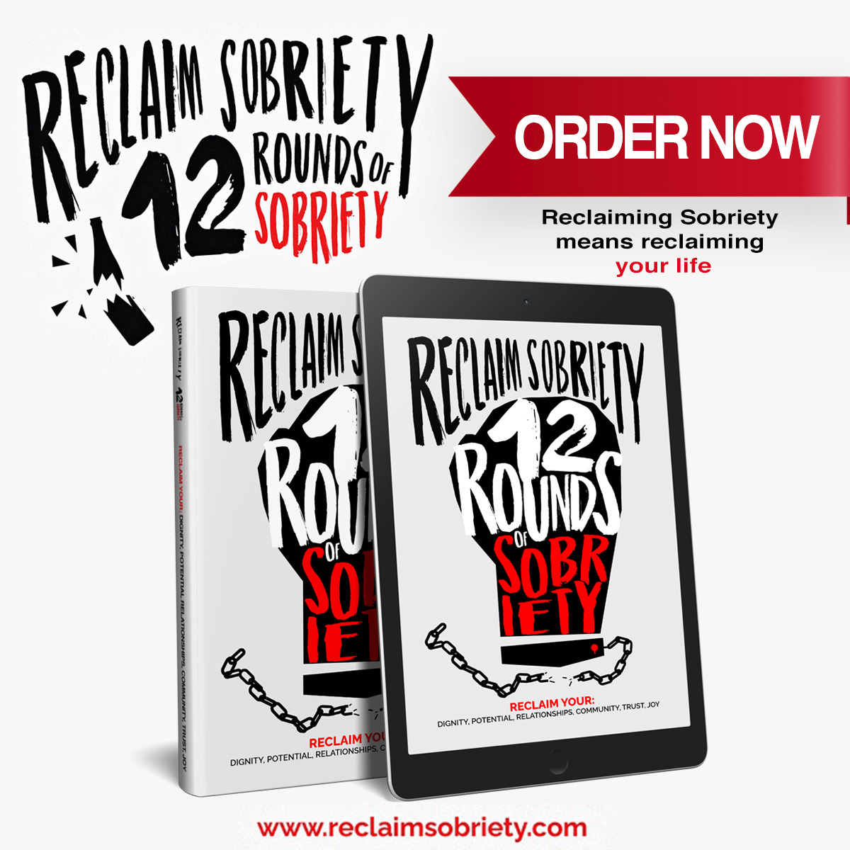 Reclaim Sobriety by Ken Cox | Recovery Book for PAWS, Identity & Life ...